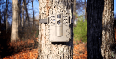 New Moultrie Game Spy 2 - Firearms Friday